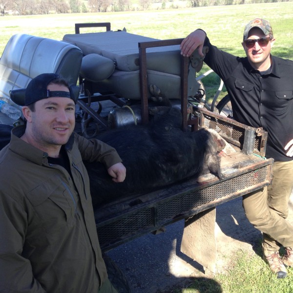California Wild Hog & Pig Hunting - All Season Outfitters - California