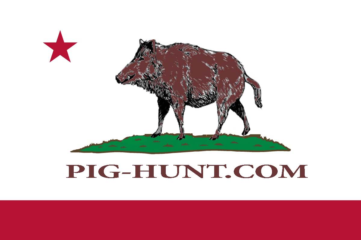c1alifornia-flag-large.jpg - California Wild Hog & Pig Hunting - All ...