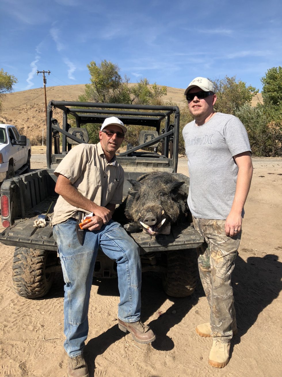 Photo Gallery - California Wild Hog & Pig Hunting - All Season Outfitters